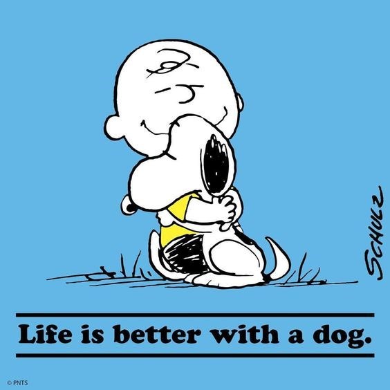 National Dog Day Events FX101 9
